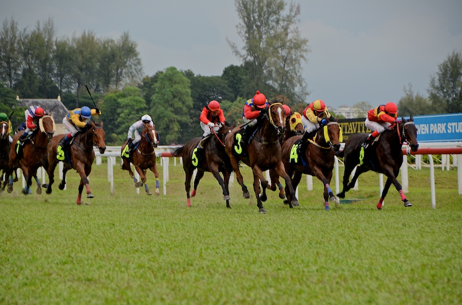 Malaysia to stage 4YO Challenge series - Penang Turf Club