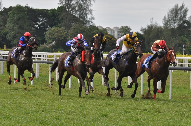 Penang Turf Club Off-Course Races - Penang Turf Club