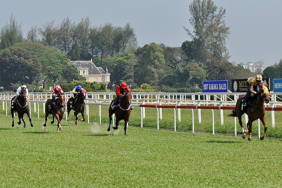 Penang Turf Club will resume Off-Course Races - Penang Turf Club